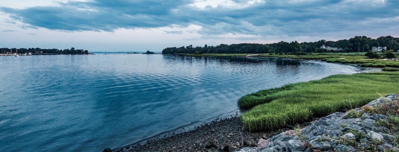 Contact | Littlejohn & Co.